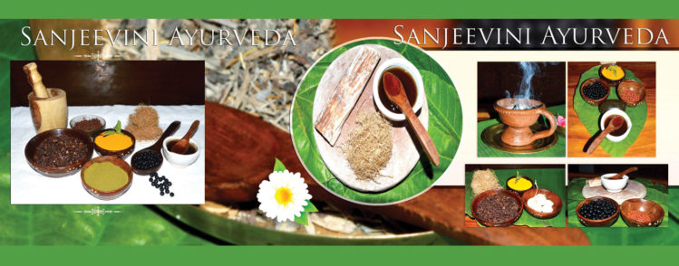 Home - Sanjeevini AyurvedaSanjeevini Ayurveda